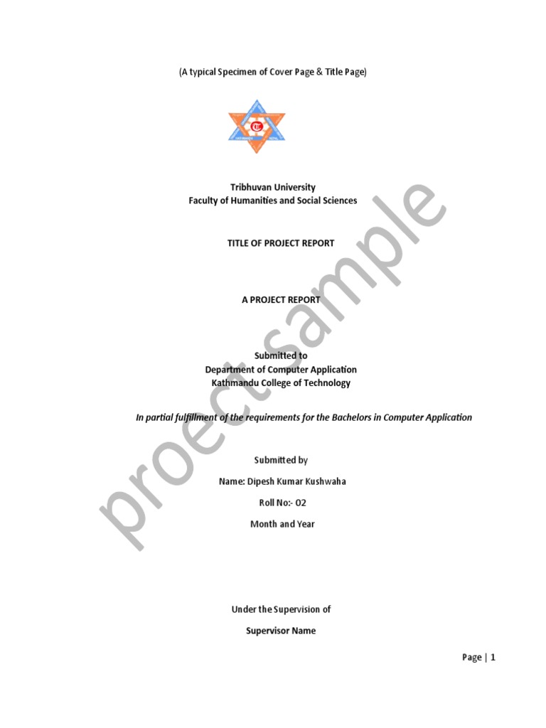 Proect Sample PDF | PDF | Software Development Process | System