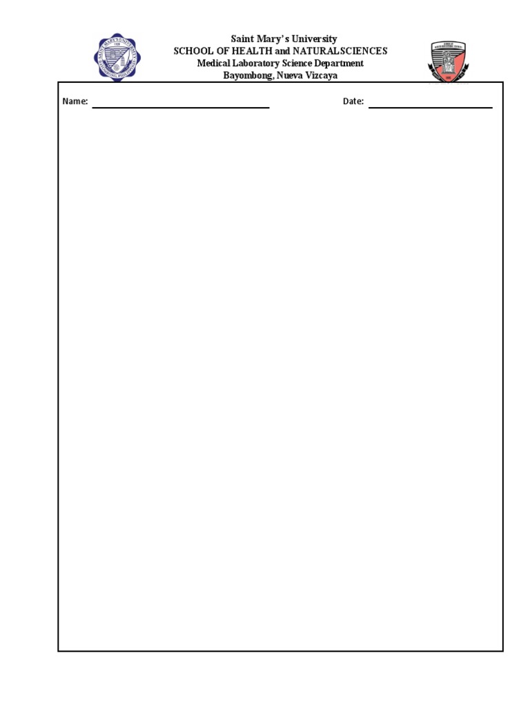 Activity Sheet Template | PDF
