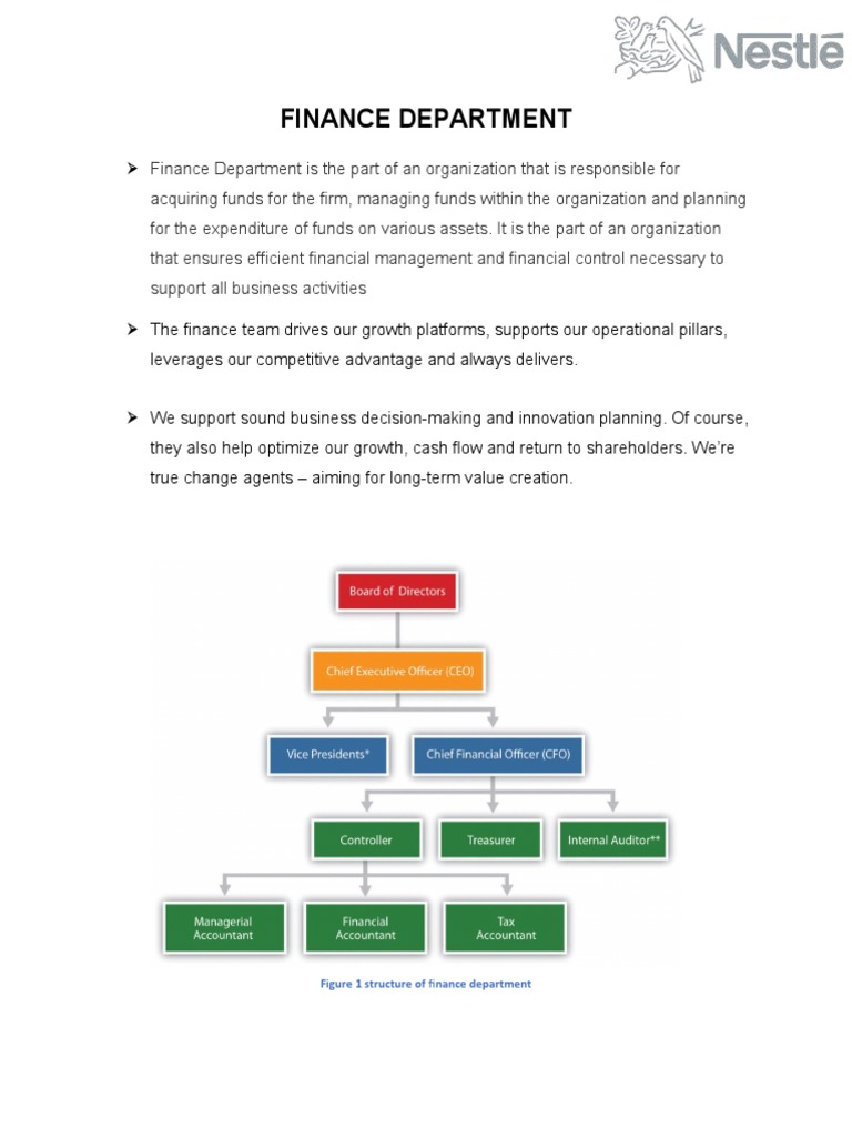 Figure 1 Structure of Finance Department | PDF | Equity (Finance) | Expense