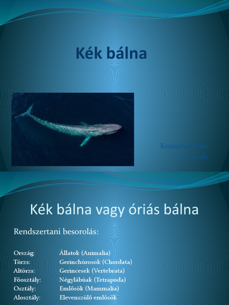 Kék Bálna | PDF