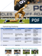 Aspetar Hamstring Protocol | PDF | Anatomical Terms Of Motion | Knee