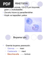 Tatarcik | PDF