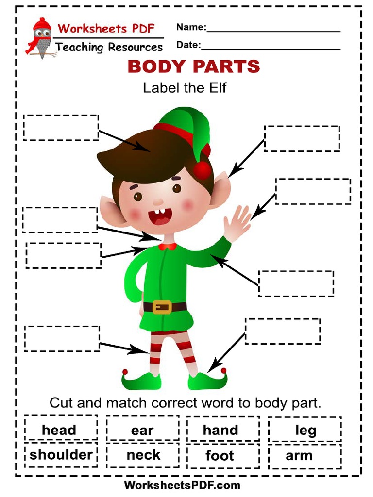 Elf Body Parts Labeling Worksheet | PDF