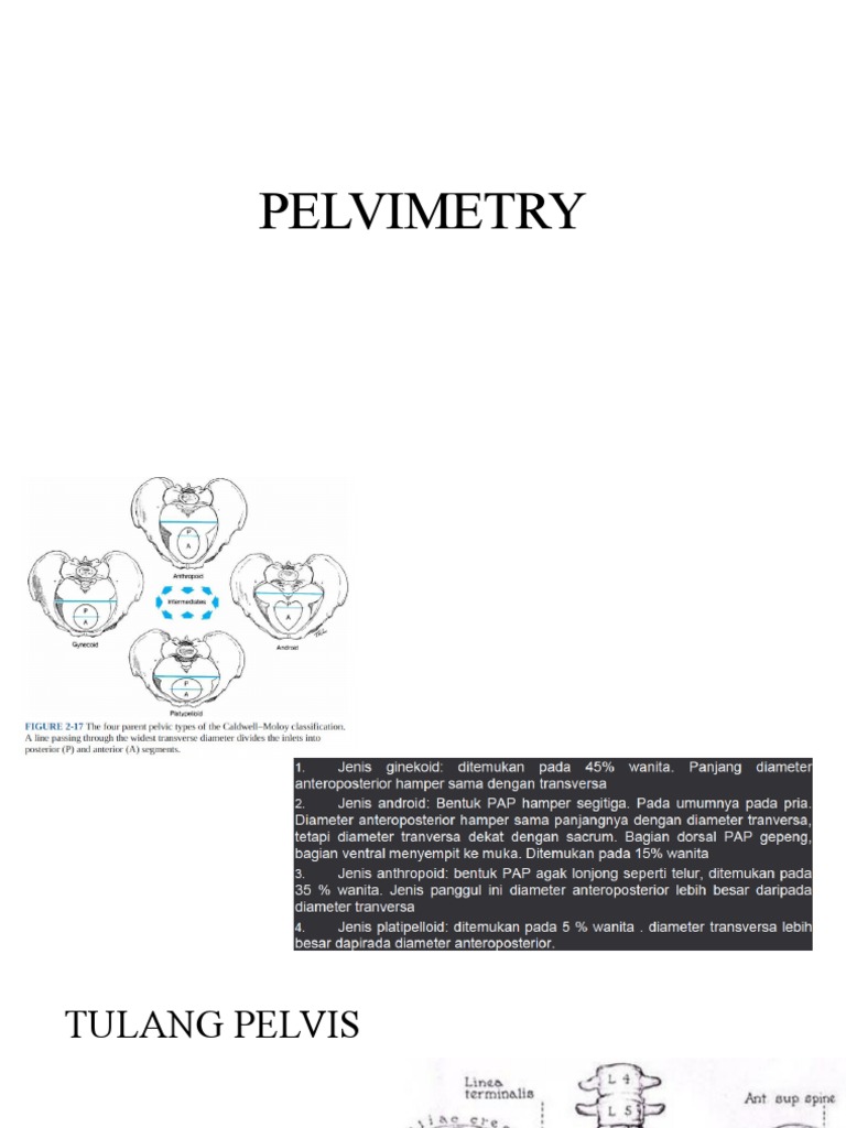 Panduan Pemeriksaan Pelvimetri | PDF | Ilmu Sosial | Sains & Matematika