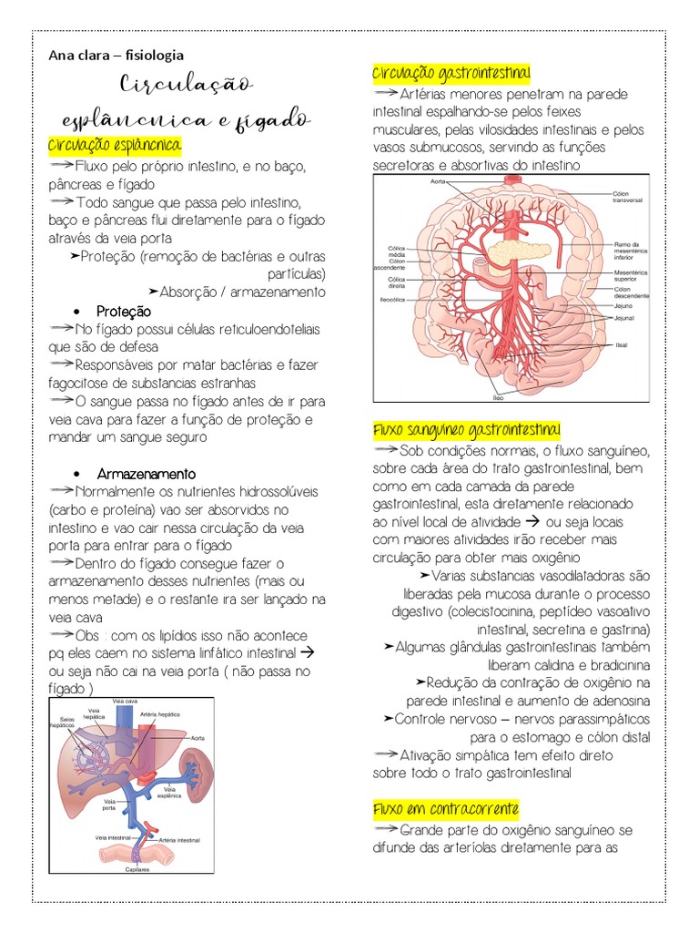 Fisiologia da Circulação e Fígado | PDF | Bile | Fígado