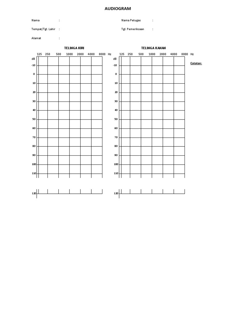 AUDIOGRAM | PDF