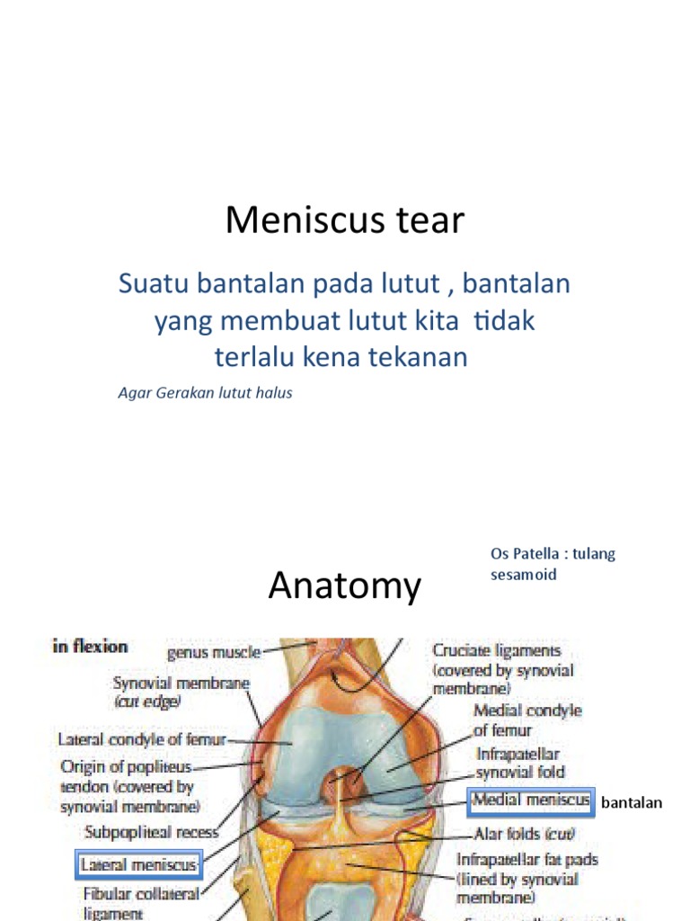 Lesi Meniskus-3 | PDF