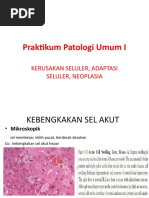 Apa Itu Sel Goblet | PDF | Kesehatan Holistik | Sains & Matematika