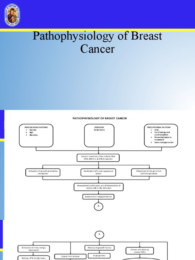 Pathophysiology of Cancer | PDF