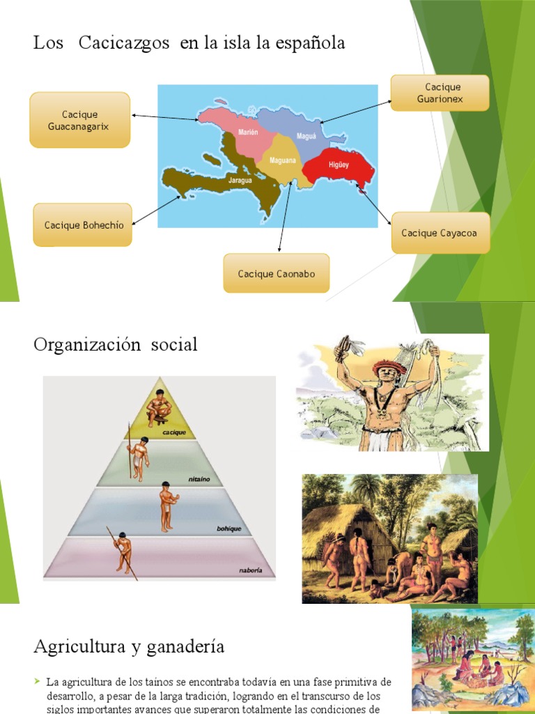 Organización Social de La Cultura Taino | PDF