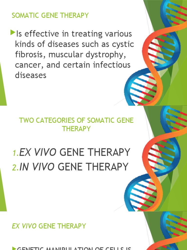 Somatic Gene Therapy | PDF