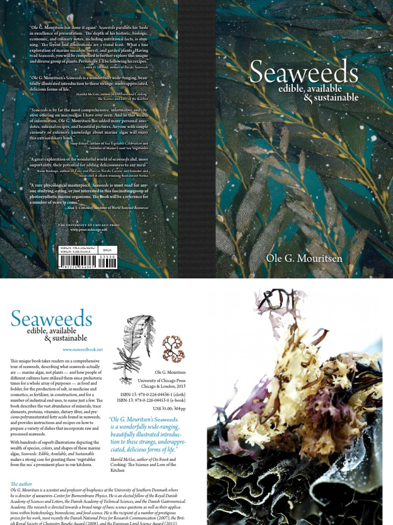 Seaweeds Infofolder Web | PDF | Algae | Gastronomy
