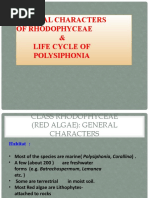Structure and Life Cycle of Chara | PDF | Algae | Biology