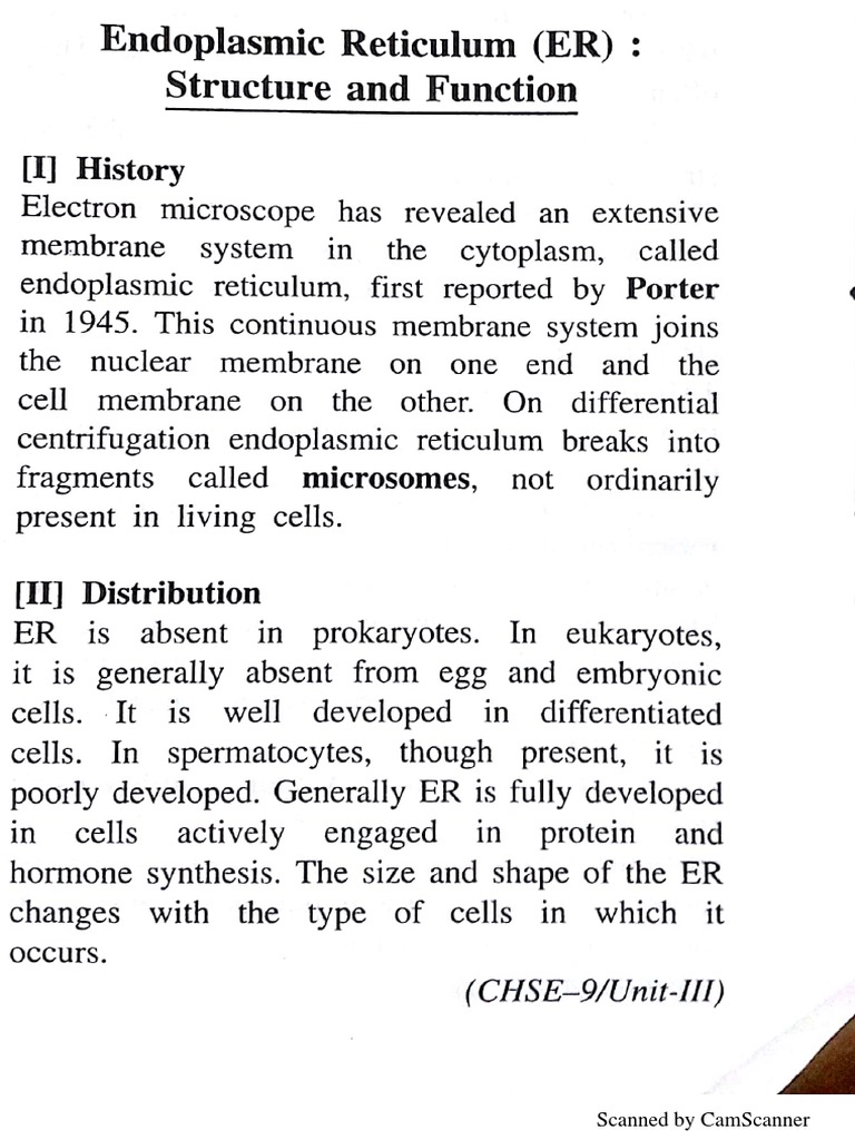 Gerl System | PDF