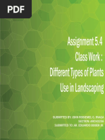 Weed Identification Guide | PDF | Clover | Leaf