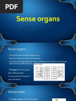 True Muscle Calendar | PDF | Body Shape | Determinants Of Health