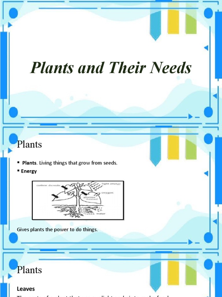 Understanding Plant Parts and Needs | PDF | Plants | Flowers
