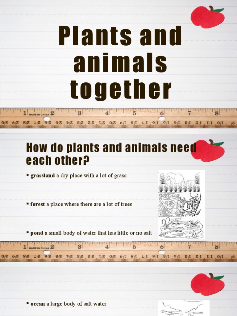 Plants and Animals Together | PDF | Flowers | Plants