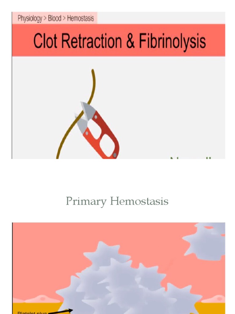 Fibrinolysis - Pinaayos Na Ver | PDF | Wellness | Science & Mathematics