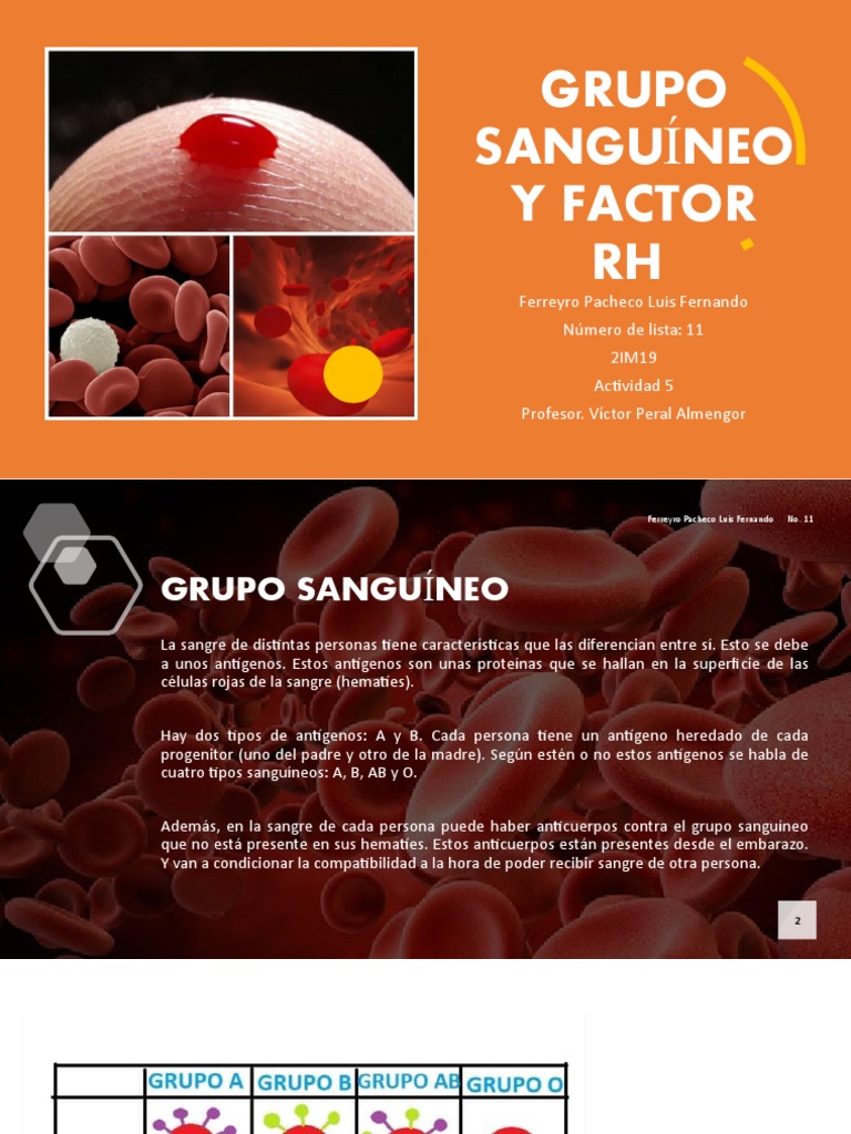 Grupo Sanguíneo y Factor RH | PDF | Tipo de sangre | Sangre