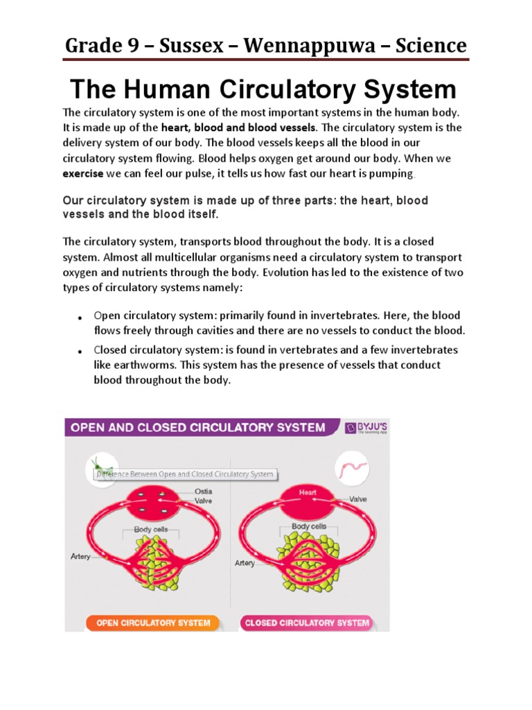 The Human Circulatory System: Grade 9 - Sussex - Wennappuwa - Science ...