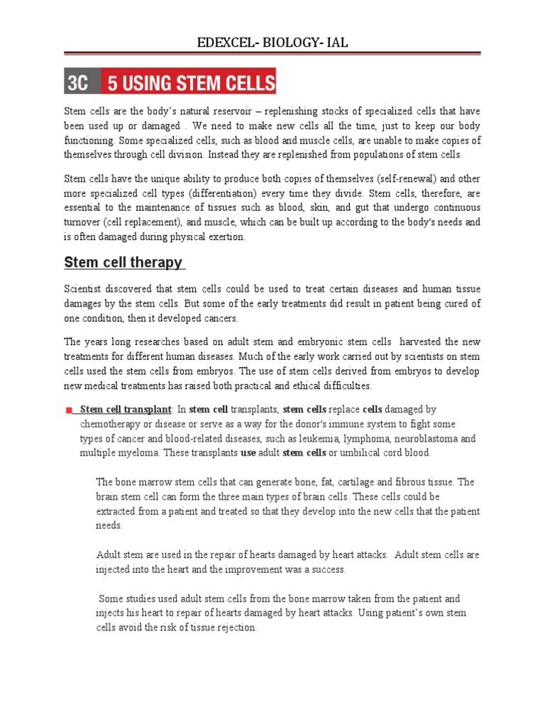 Stem Cell Application and Uses | PDF | Stem Cell | Embryonic Stem Cell