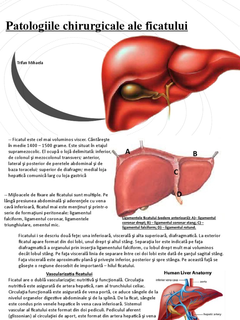 Patologiile Ficatului 227060 | PDF