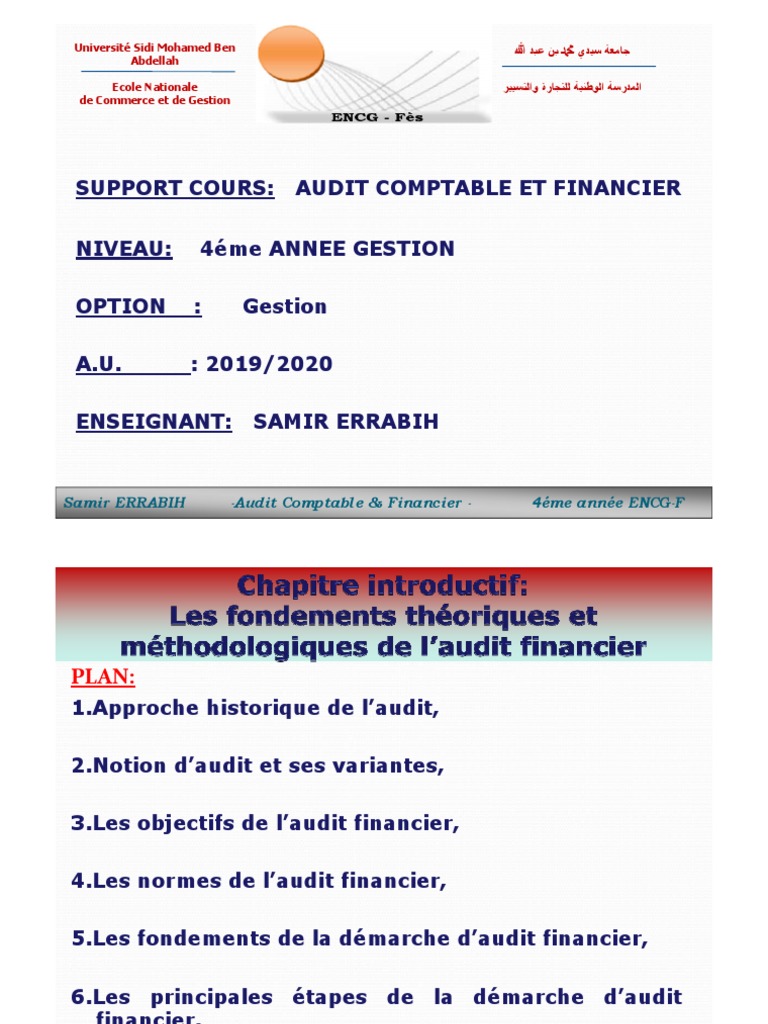 Audit | PDF | Audit financier | Audit