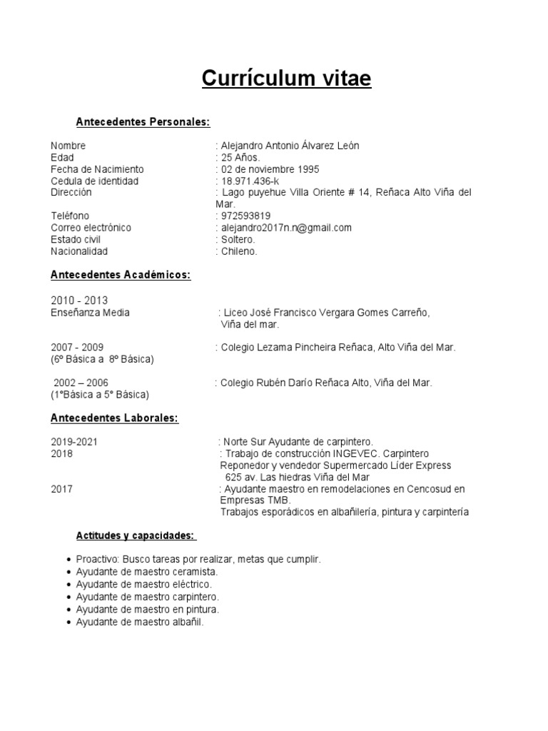 Ale Curriculum | PDF