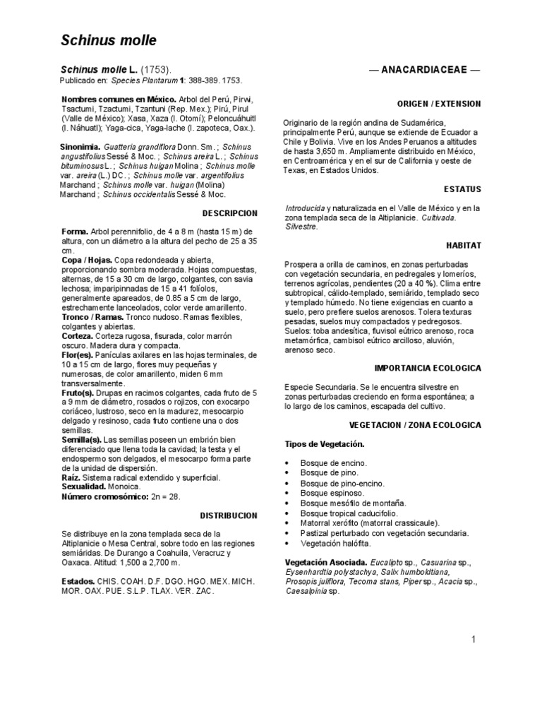 Molle Serrano | PDF | Botánica | Plantas