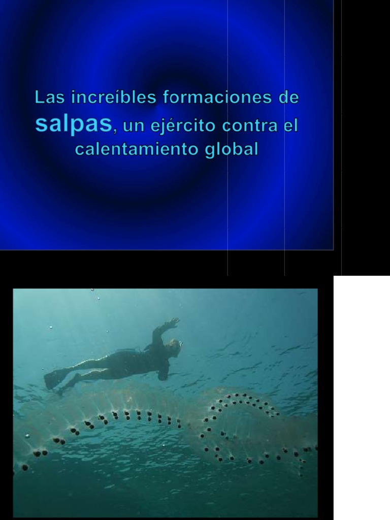 Las Salpas | PDF