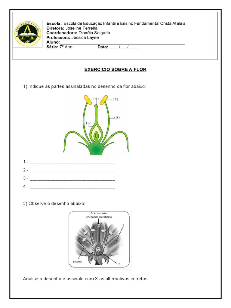 Atividade sobre Partes da Flor | PDF