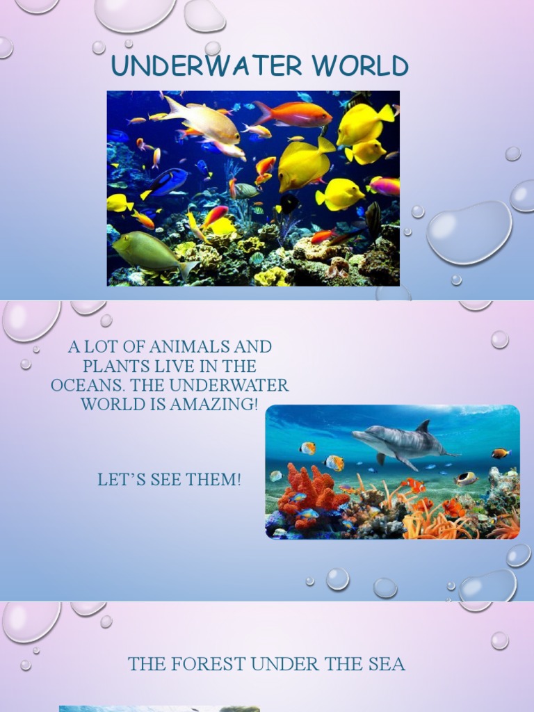 Presentation On Underwater World | PDF