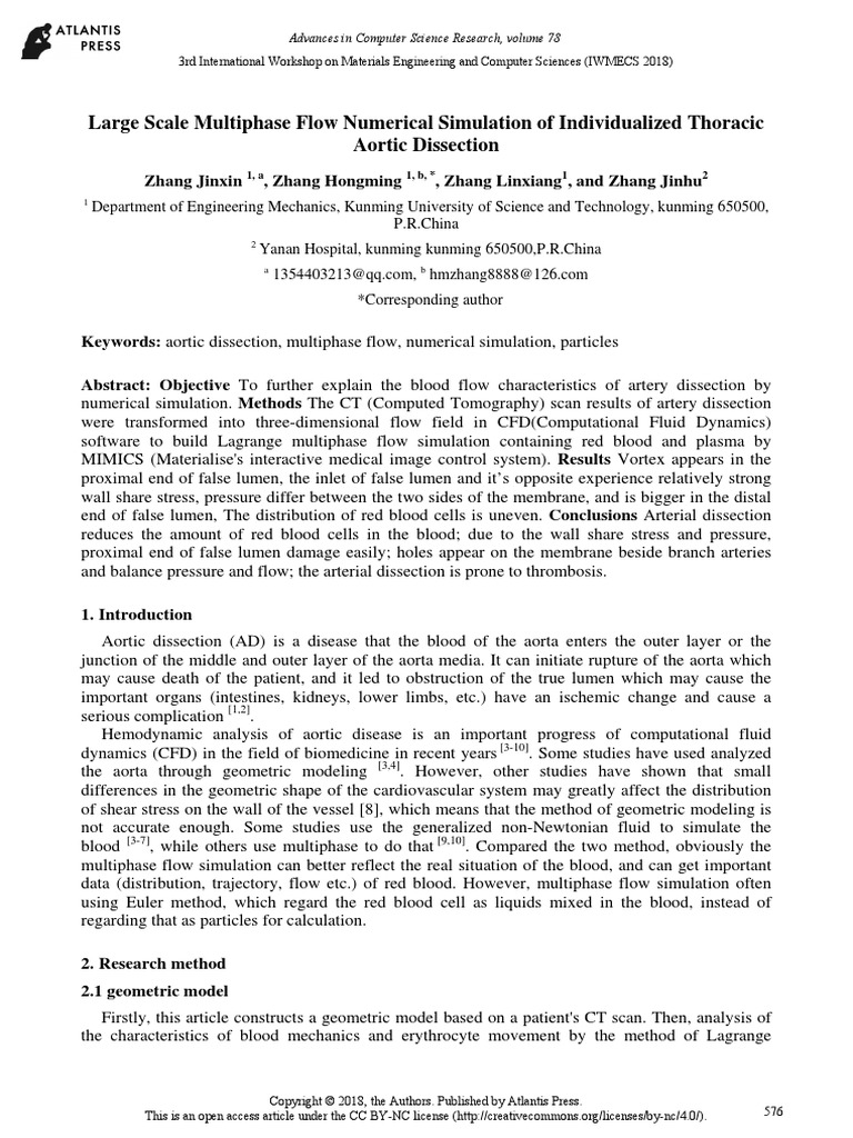 Large Scale Multiphase Flow Numerical Simulation of Individualized ...