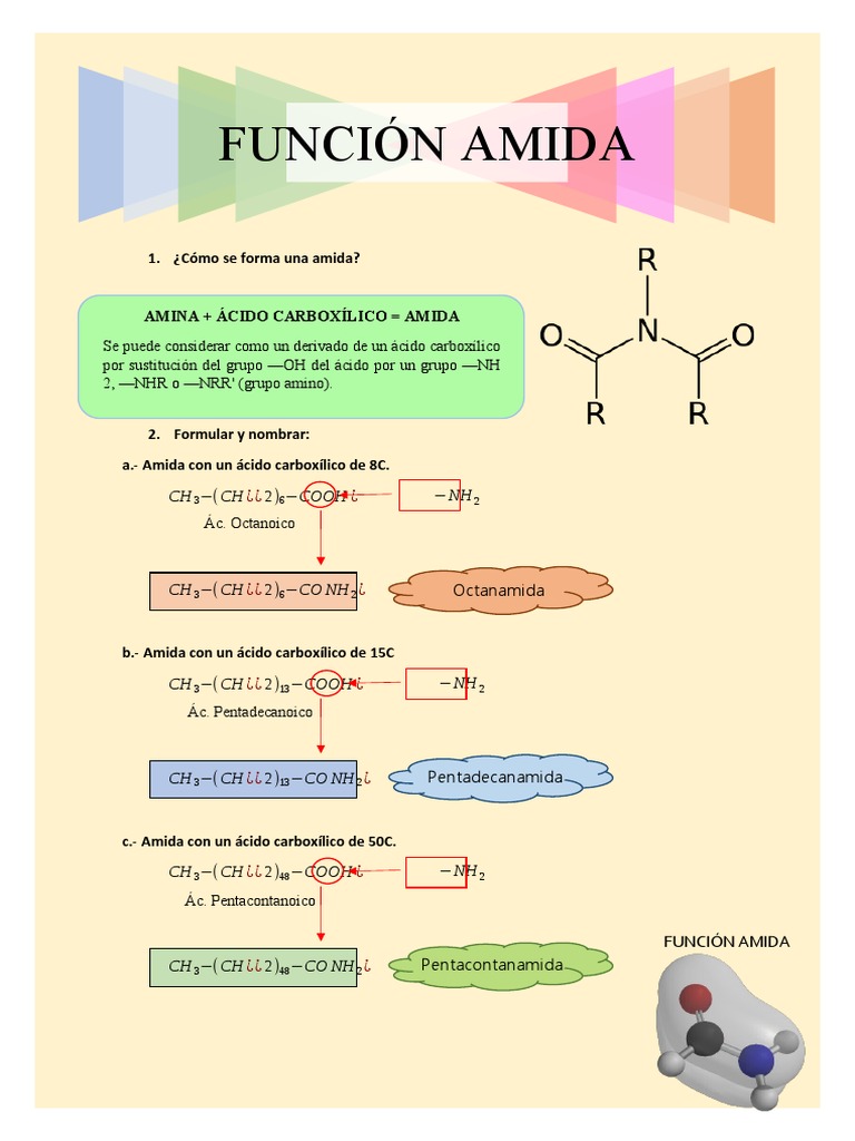 Formación y Función de Amidas | PDF