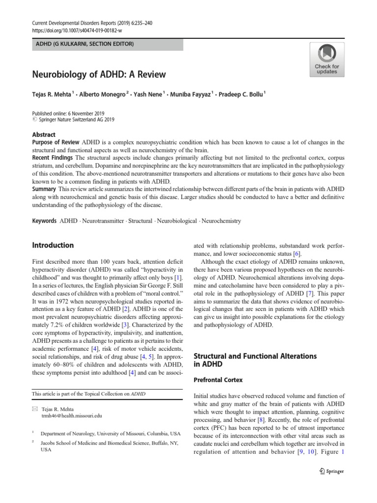 Neurobiology of ADHD: Key Insights | PDF | Attention Deficit ...