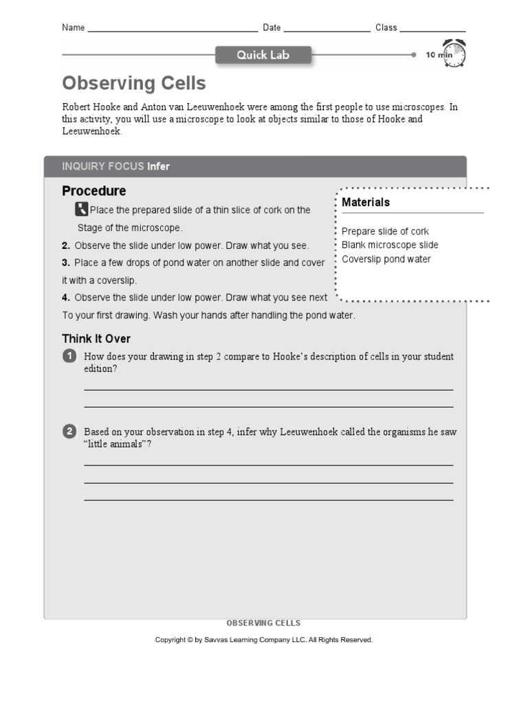 Lab 1 Observing Cells | PDF