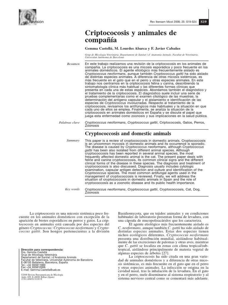 Criptococosis en Animales de Compañía | PDF | Gatos | Tinción