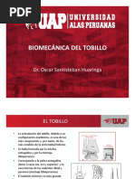 Linea de Feiss, Linea de Helbing | PDF | Pie | Anatomía humana