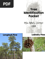 Tree Identification Cards | PDF | Flora | Trees