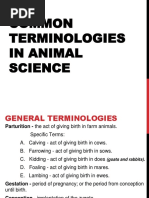 Swine Terminology | PDF | Pig | Livestock