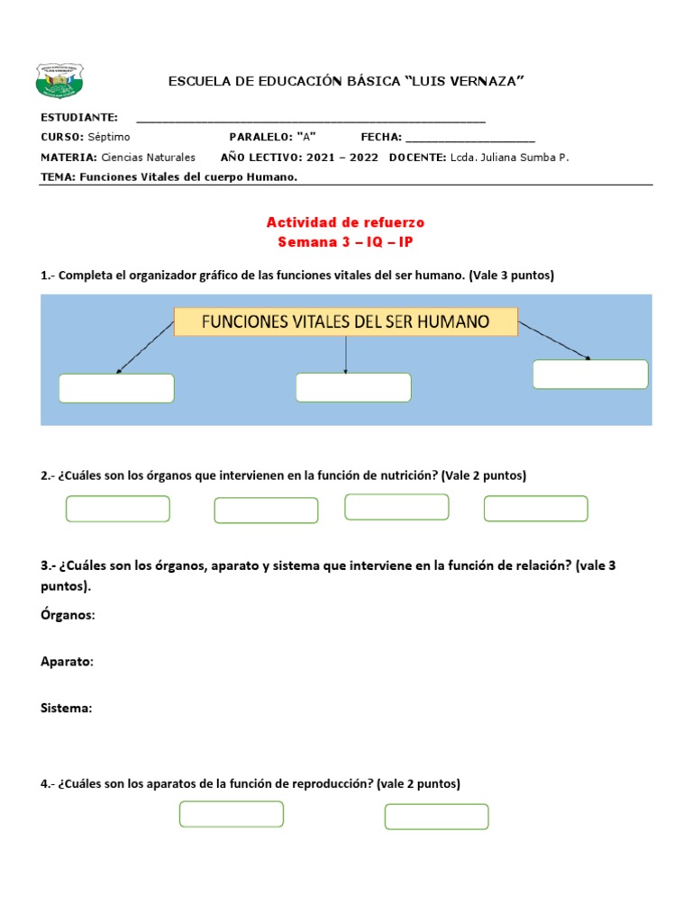 Actividad De Refuerzo S3 Iq Ip Funciones Vitales Del Cuerpo Humano Pdf