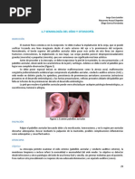 Otoscopia Normal | PDF | Oído | Anatomía
