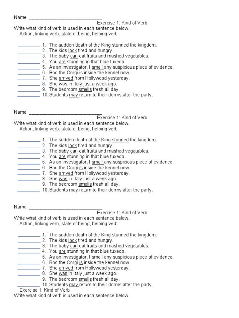 Types of Verbs and Tenses Exercises | PDF | Grammar | Language Mechanics