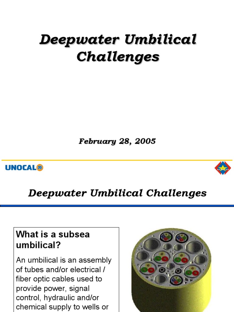 Deepwater Umbilical Challenges Overview | PDF | Subsea (Technology ...