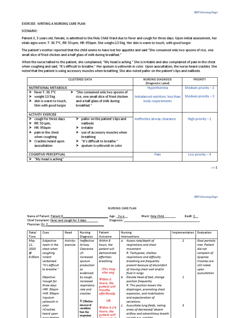 Clustered Data Nursing Diagnosis (Diagnostic Label) Priority | PDF ...