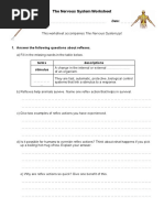 Balanced Diet Worksheet and Answers | PDF | Healthy Diet | Nutrition