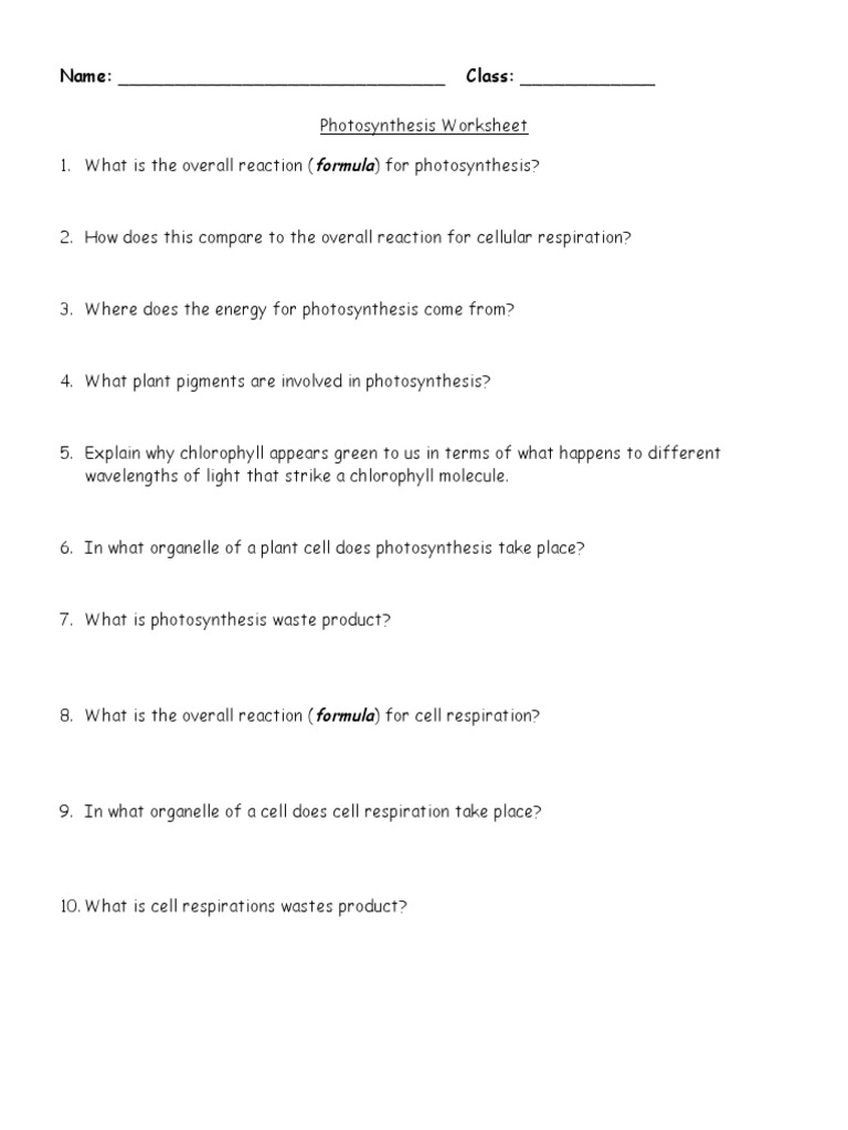 Photosynthesis 1 Worksheet Crossword | PDF