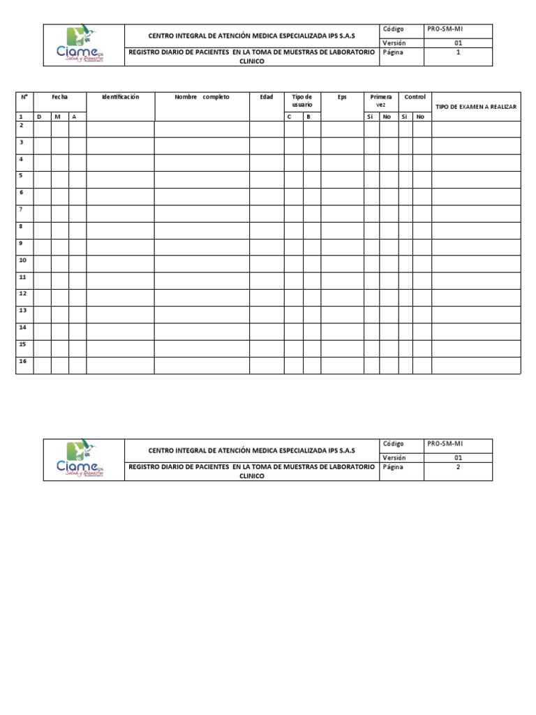 Registro Diario de Pacientes | PDF