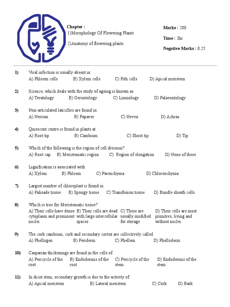 Anatomy Morphology | PDF | Plant Stem | Tissue (Biology)